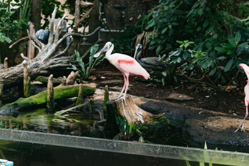 The Florida Aquarium Ticket - Final Thoughts: Is It Worth It?