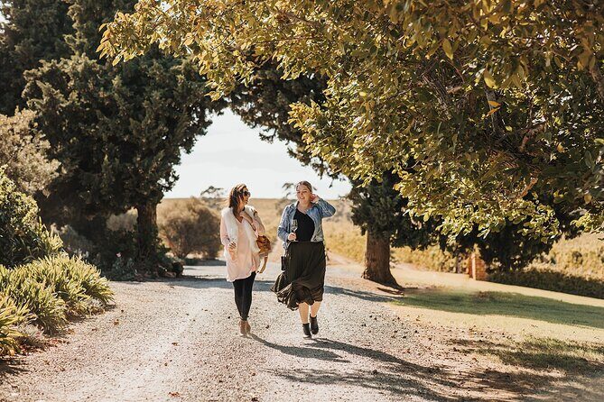 The Florita Wine Tasting Experience - An In-Depth Look at the Florita Wine Tasting Experience