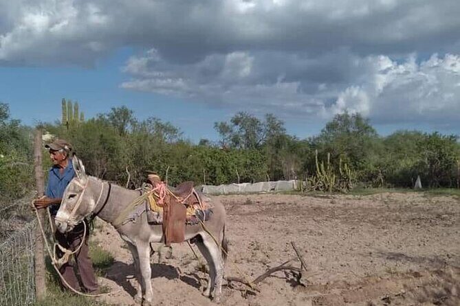 The forgotten minning towns of Baja Sur - FAQ