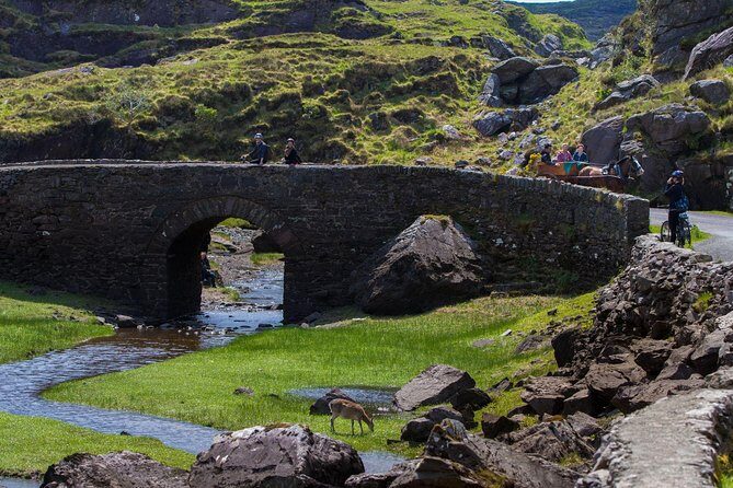 The Gap of Dunloe Full-Day Tour from Killarney - Practical Tips for Making the Most of Your Day