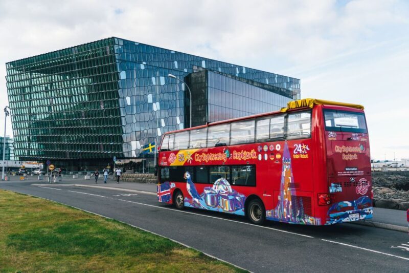 The Golden Circle & Hop On - Hop Off Combo Deal - Who Should Consider This Tour?