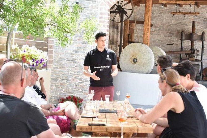 The Governor's Olive Mill Tour with Olive Oil Tasting - Key Points