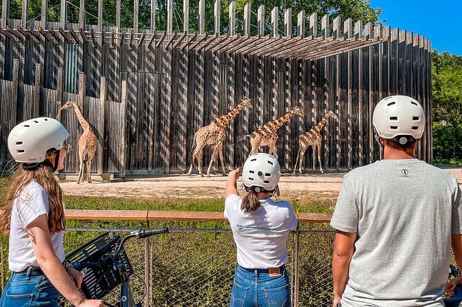 The Grand Bike Tour of Lyon - 3h - A Deep Dive into the Lyon Bike Tour Experience