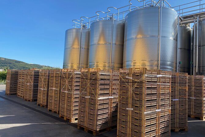 The Grand tour of Valpolicella: 2 Wineries, Lunch & Amarone focus - Authenticity and Educational Value