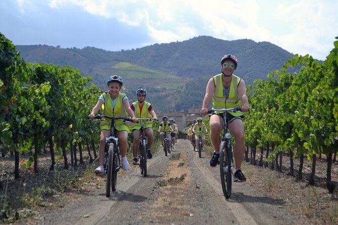 The Grape Escape! Cycling in Beautiful Scenery with Wine Tasting - The Itinerary in Detail