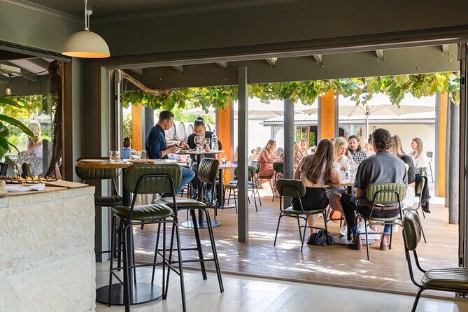 The Grape Vine - An In-Depth Look at the Experience