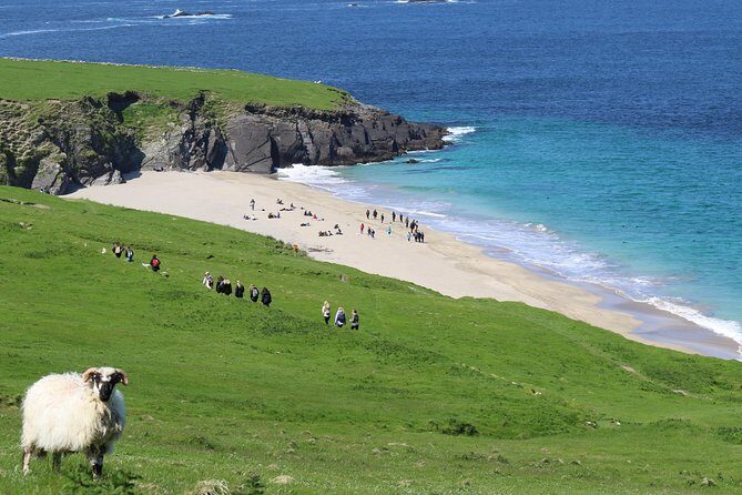The Great Blasket Island Experience - Premium Tour - What We Love About This Tour