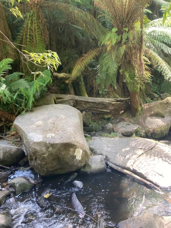 The Great Ocean Road Private Day Trip - Practical Details and Cost-Effectiveness