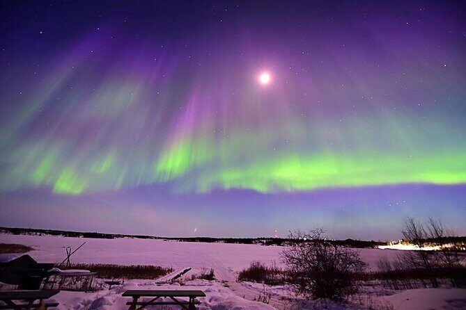 The Greatest Valuable Aurora Manor & Hunting Tour --Exclusive Tour Operator - FAQ