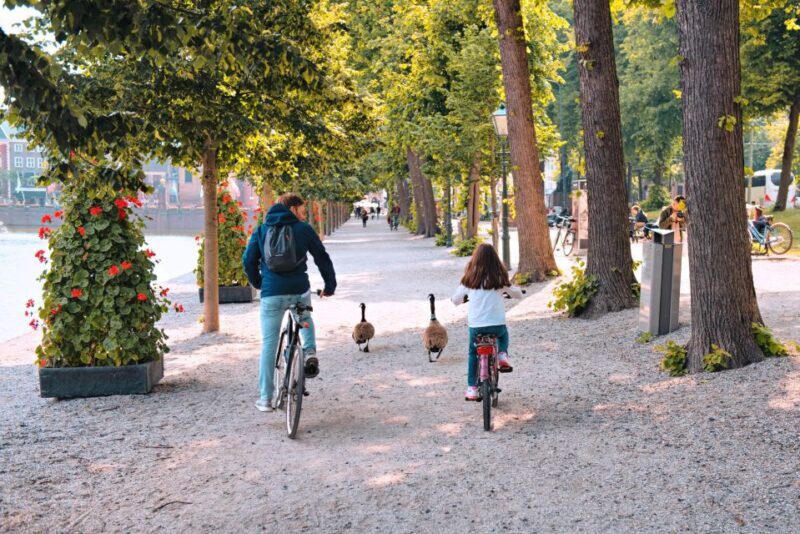 The Hague: Highlights Bike Tour - What to Expect from the Tour