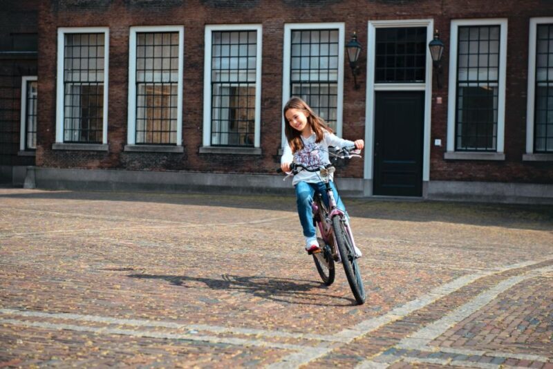 The Hague: Highlights Bike Tour - The Experience and Pacing