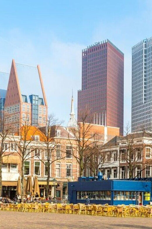 The Hague : Must-See attractions Private Walking Tour - A Detailed Look at the Experience