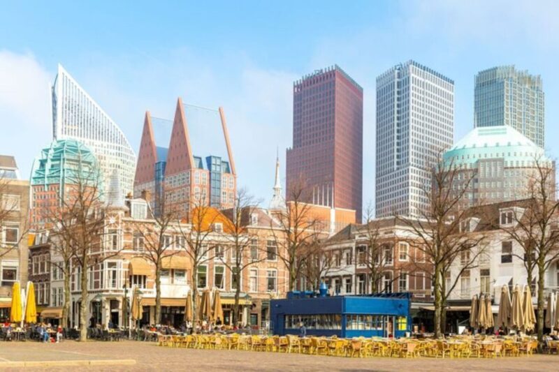 The Hague: Private Custom Walking Tour With A Local Guide - Key Points