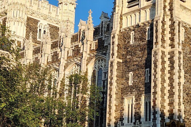 The Heart of Harlem: A Self-Guided Audio Tour in NYC - The Sum Up: Who Is This Tour Best For?