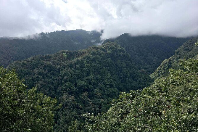 The King's Levada - Levada do Rei - What to Expect from the Kings Levada - Levada do Rei Tour