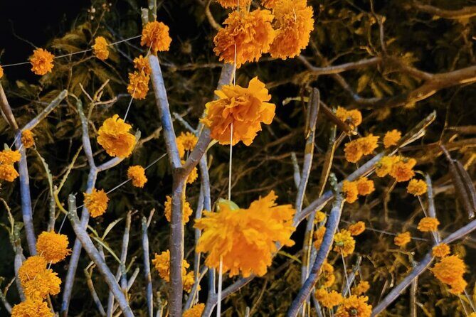 The Last Farewell Night in the Pantheons of Tlalixtac and San Felipe - FAQ