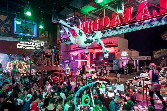 The little cow - Practical Details & Considerations