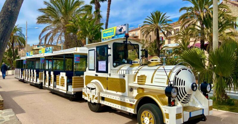 The Little Train of Lavandou's beaches - An In-Depth Look at the Little Train of Lavandou’s Beaches
