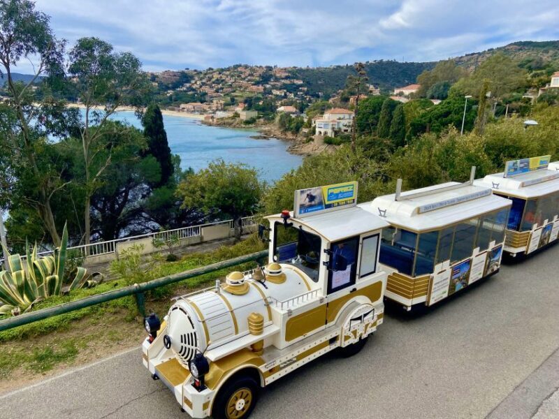 The Little Train of Lavandou's beaches - What We Learned From Reviews