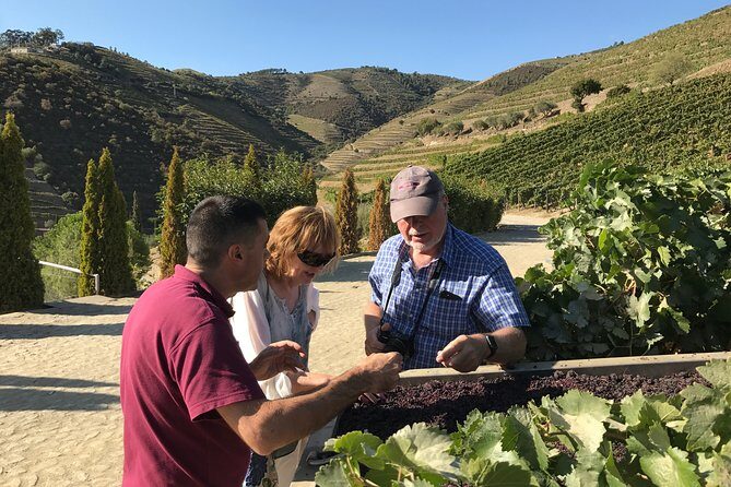 The Luxury Douro tour - Price and Value Analysis