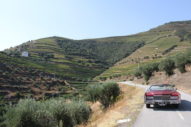 The Luxury Douro tour - Who Will Love This Tour?