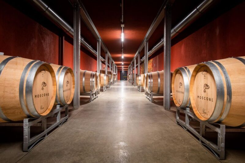 The Madama: Wine tasting in La Morra - A Close Look at the Madama Experience