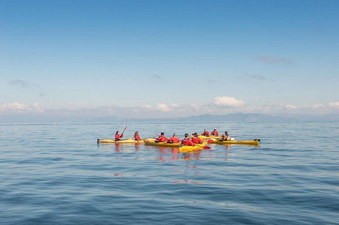The Maori Carvings Half Day Kayak - What Is the Maori Carvings Half Day Kayak Tour?