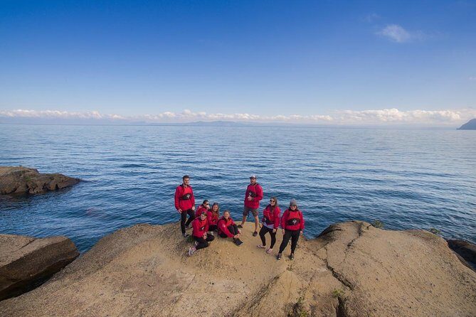 The Maori Carvings Half Day Kayak - The Scenic Experience