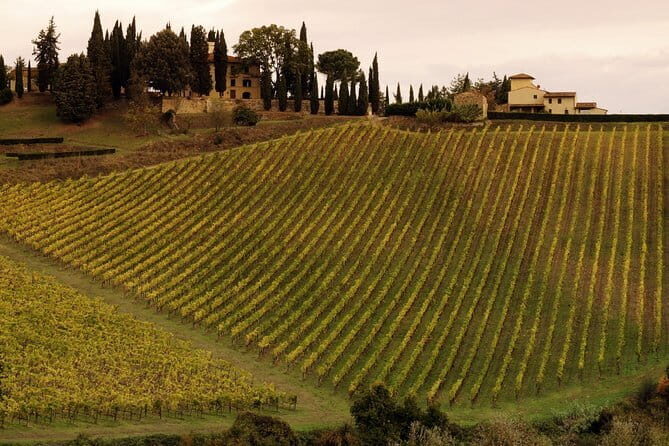 The Medici Family in Florence: a history of money, power and gossip! - FAQ