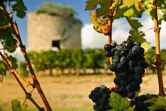 The Médoc in a sidecar, magic! - Key Points