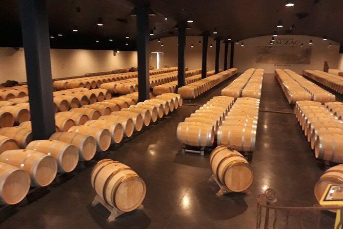 The Médoc in a sidecar, magic! - An Authentic Ride Through Médoc’s Vineyards