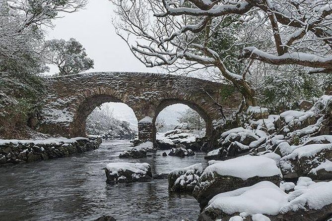 The Meeting of the Waters, Dinis Island, Lakes of Killarney - The Guide and Group Experience