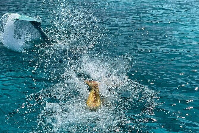 The Mermaid Cruise by Medusa Cruises  2:30-Hour Family Adventure - FAQs