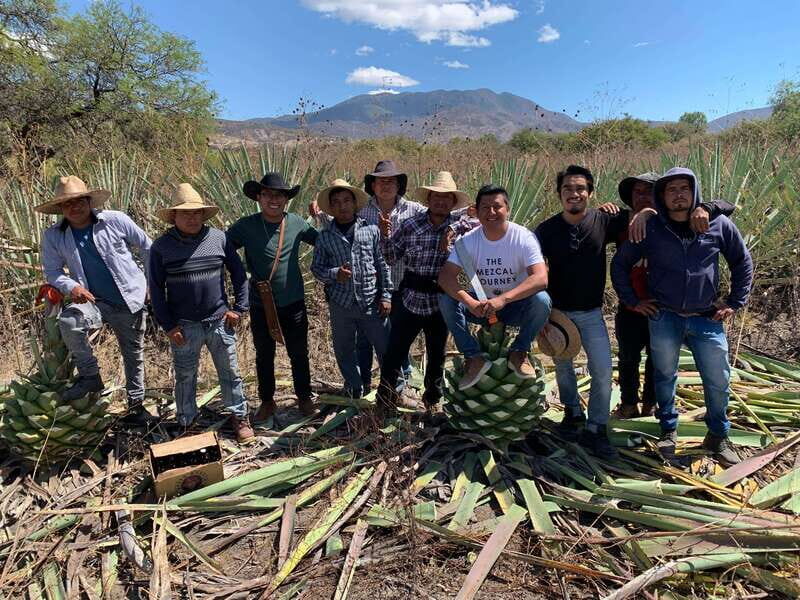 The Mezcal Journey - Return and Reflection