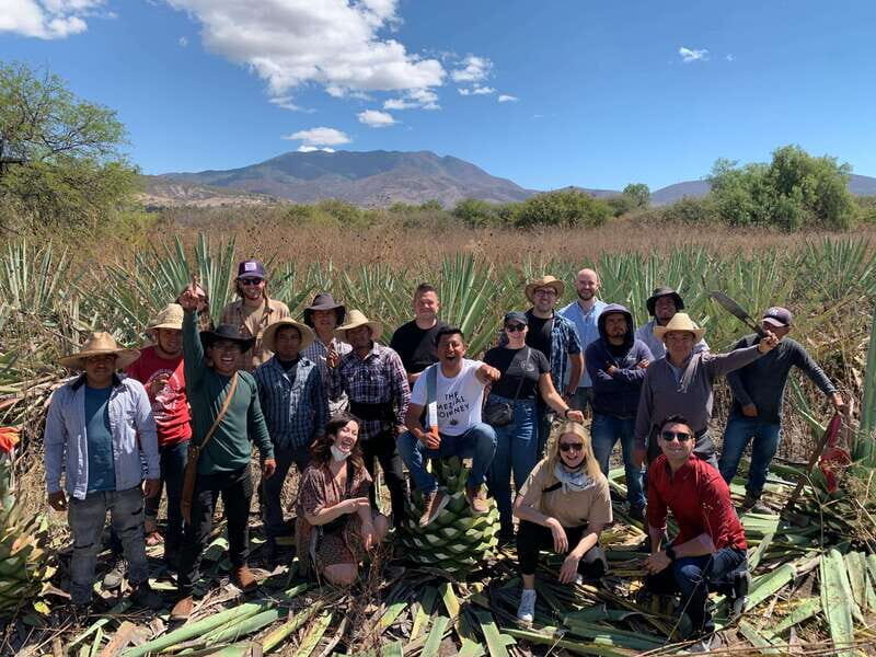 The Mezcal Journey - Practical Tips