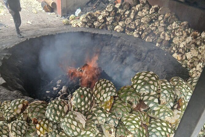 The Mezcal Tour - Practical Aspects and Value