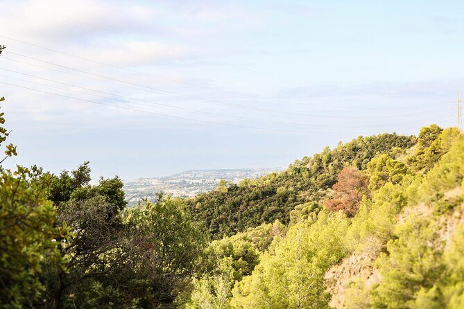 The Monks Trail: Mountain Hiking Adventure In Marbella - Key Points