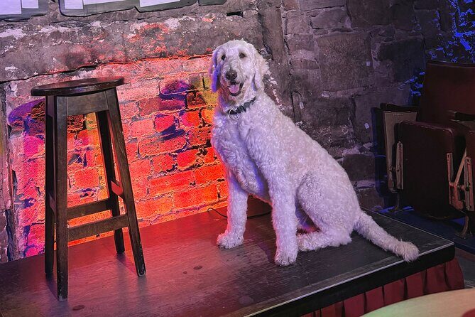 The Mountebank Comedy Whisky Tasting - FAQs