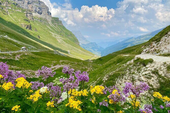 The natural wonders of Switzerland: private tour from Basel (1 day) - Final Thoughts  