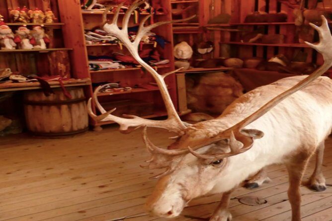 The North Cape, Reindeer and Sami Families Tour - The Sum Up: Is this tour worth it?