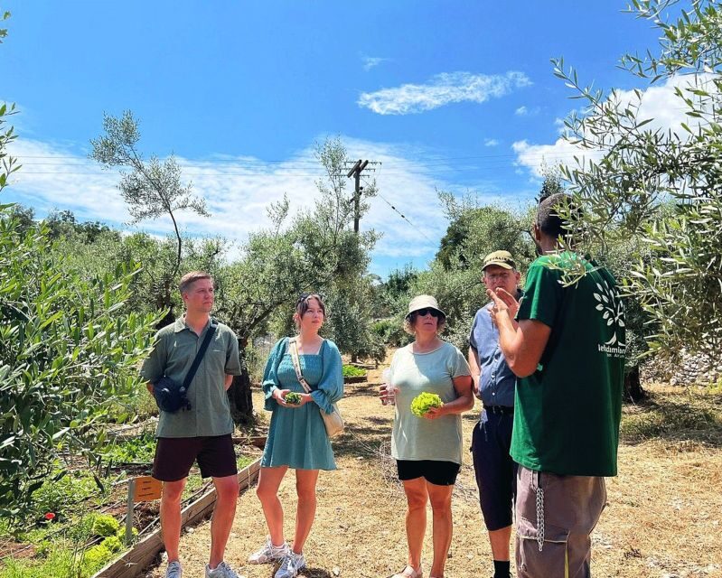 The Olive Oil Experience @ Lefkada Micro Farm - Journey Through the Lefkada Micro Farm