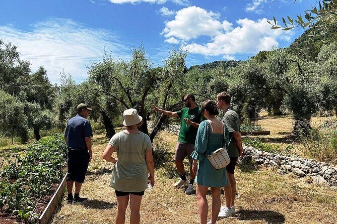 The Olive Oil Experience @ Lefkada Micro Farm - FAQs