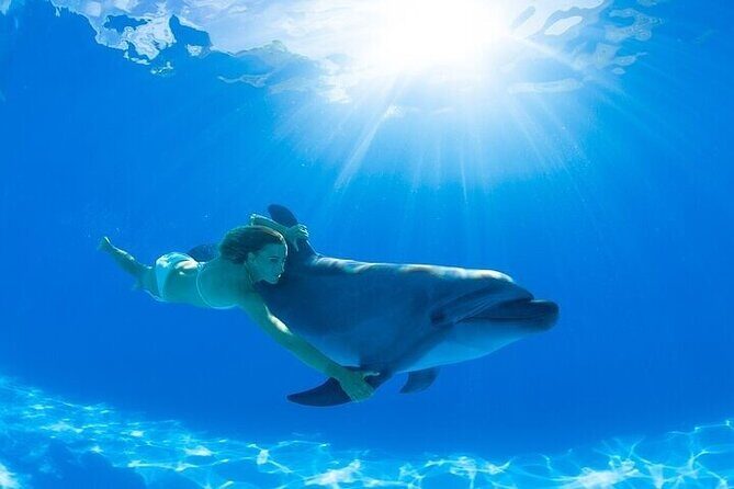 The only Natural Space Dolphin Encounter in Cabo Optional Pickup! - Practical Considerations