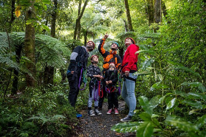 The Original Canopy Zipline Experience Private Tour From Auckland - Who Should Consider This Experience?