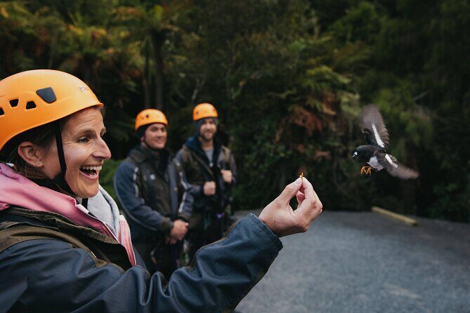 The Original Canopy Zipline Experience Private Tour From Auckland - FAQ