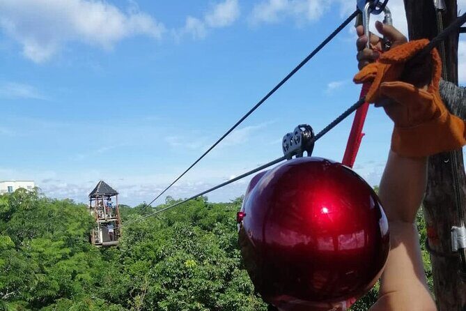 The Original Cozumel Zipline Adventure - The Experience of Flying Through the Canopy
