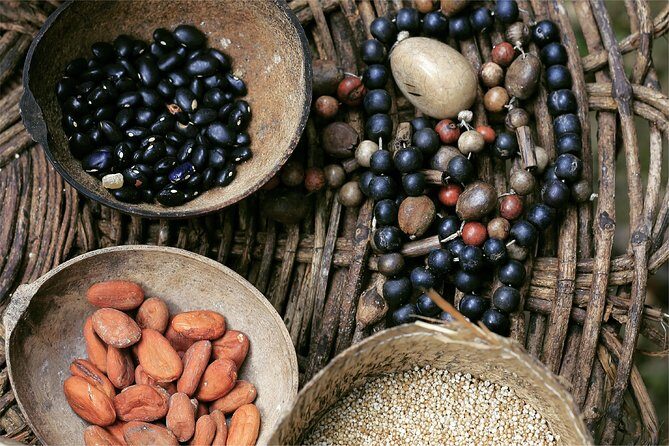 The Original Jeep Tour Revamped by Tortugas Cozumel® (Private) - Who Should Book This Tour?