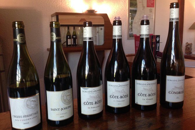 The Original Syrah Wine Tour (2:00 pm - 6:30 pm) - Small Group Tour from Lyon - Who Is This Tour Best For?