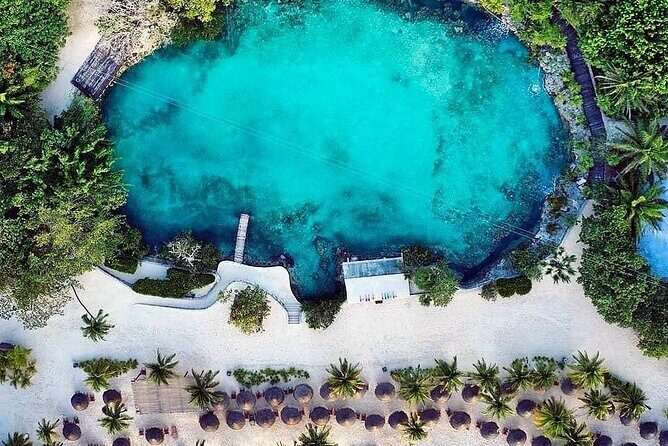 The Perfect Day in Chankanaab Park Cozumel - Stop 1: Chankanaab Reef – Easy Access to Marine Life