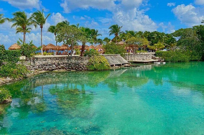 The Perfect Day in Chankanaab Park Cozumel - Who This Tour Is Best For